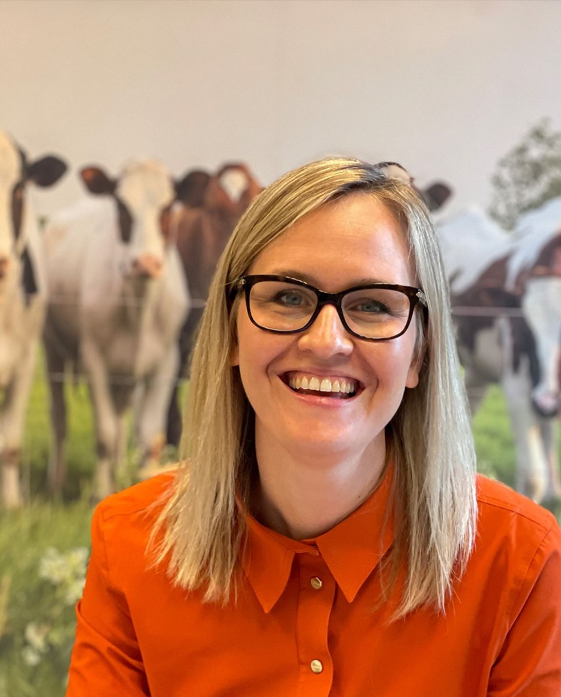 Onze partners - Kovax